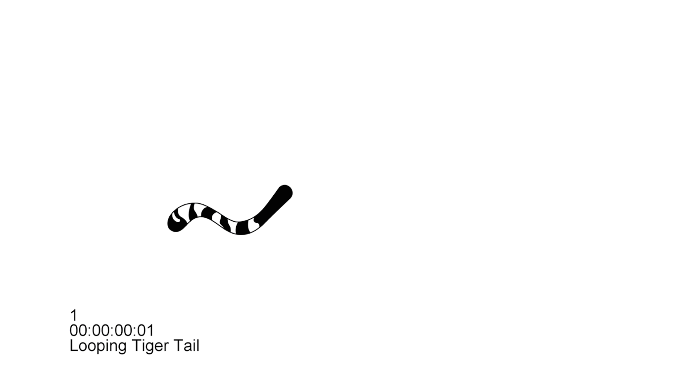 Samsonite Asia - Superpixel